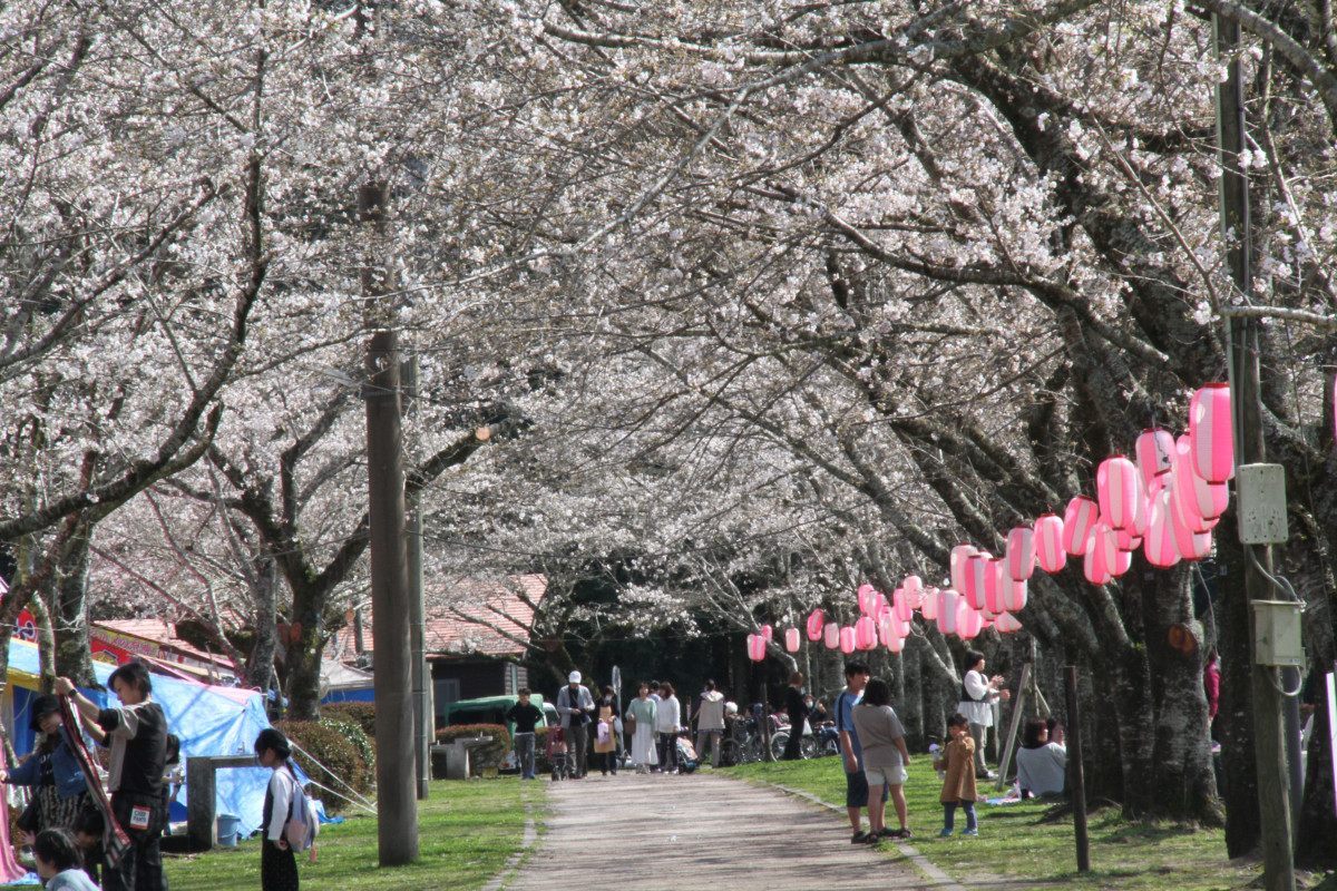 出会いと別れの季節 | 伊佐市 | 鹿児島県伊佐市